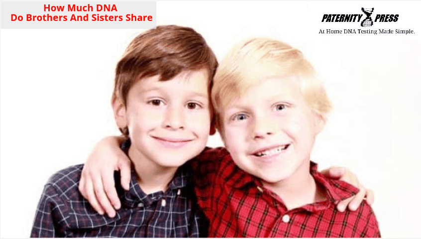 Home DNA Test For Siblings | What You Need To Know